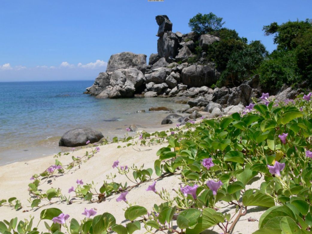 Cham Islands – Hoi An Now